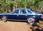 Notorious Gasser: 1976 AMC Gremlin