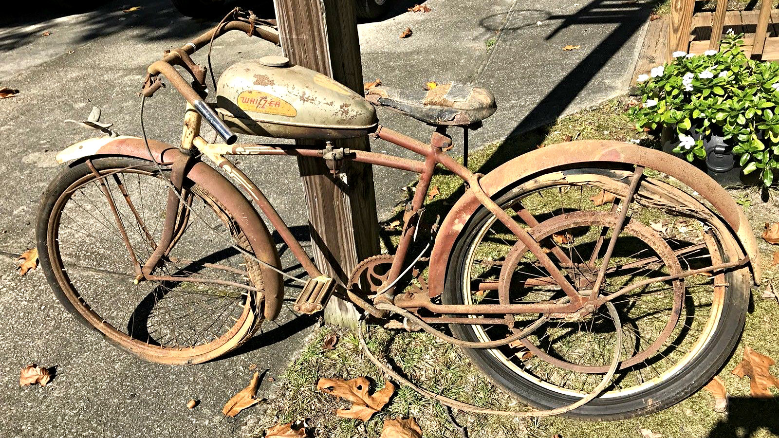Whizzer Bike 1 Barn Finds