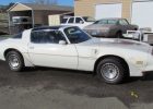 Junk Yard Find: 1981 Pontiac Trans Am