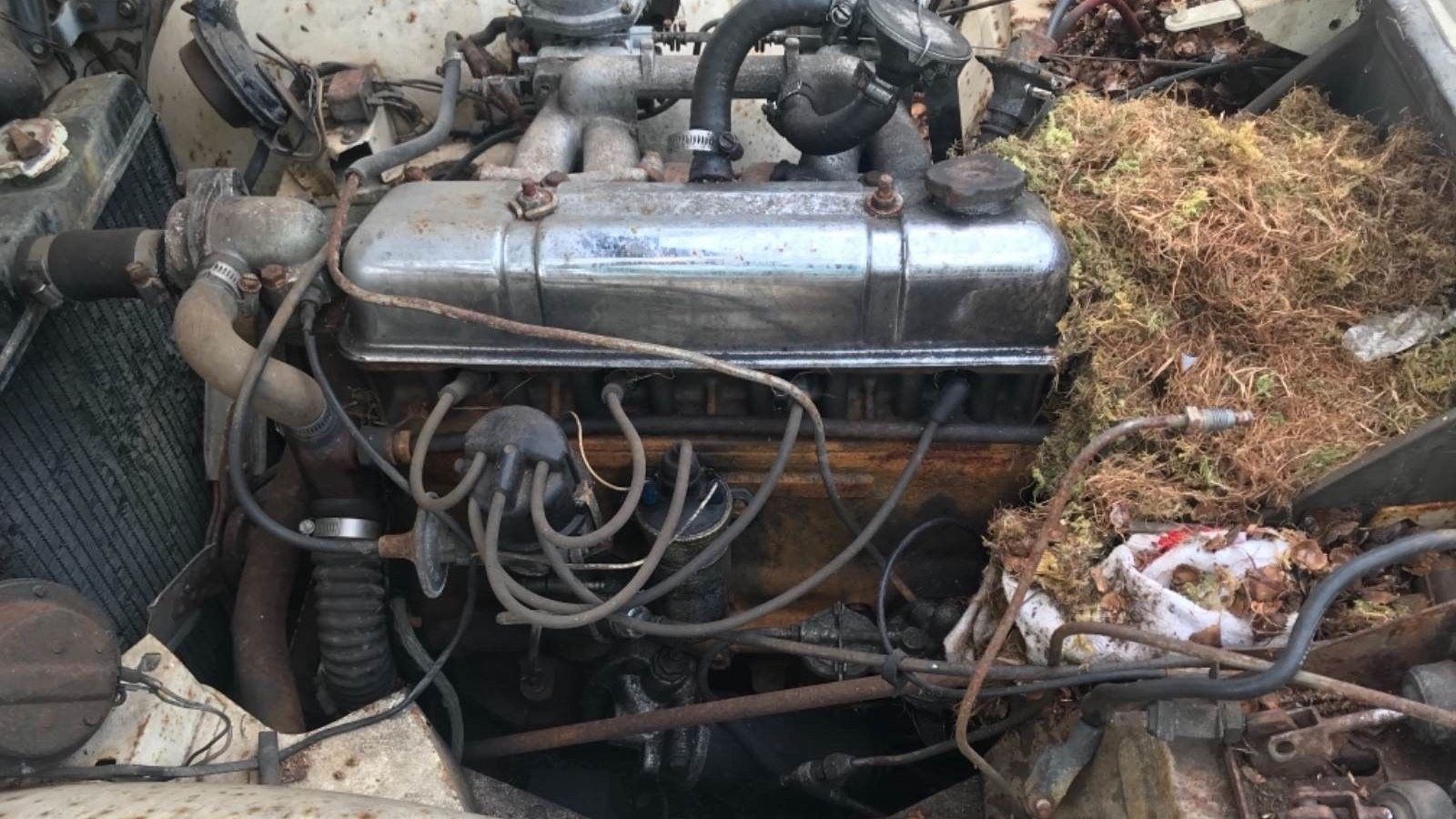 tr4 motor | Barn Finds