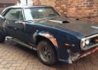 Sky Bird! 1978 Pontiac Firebird Sky Bird