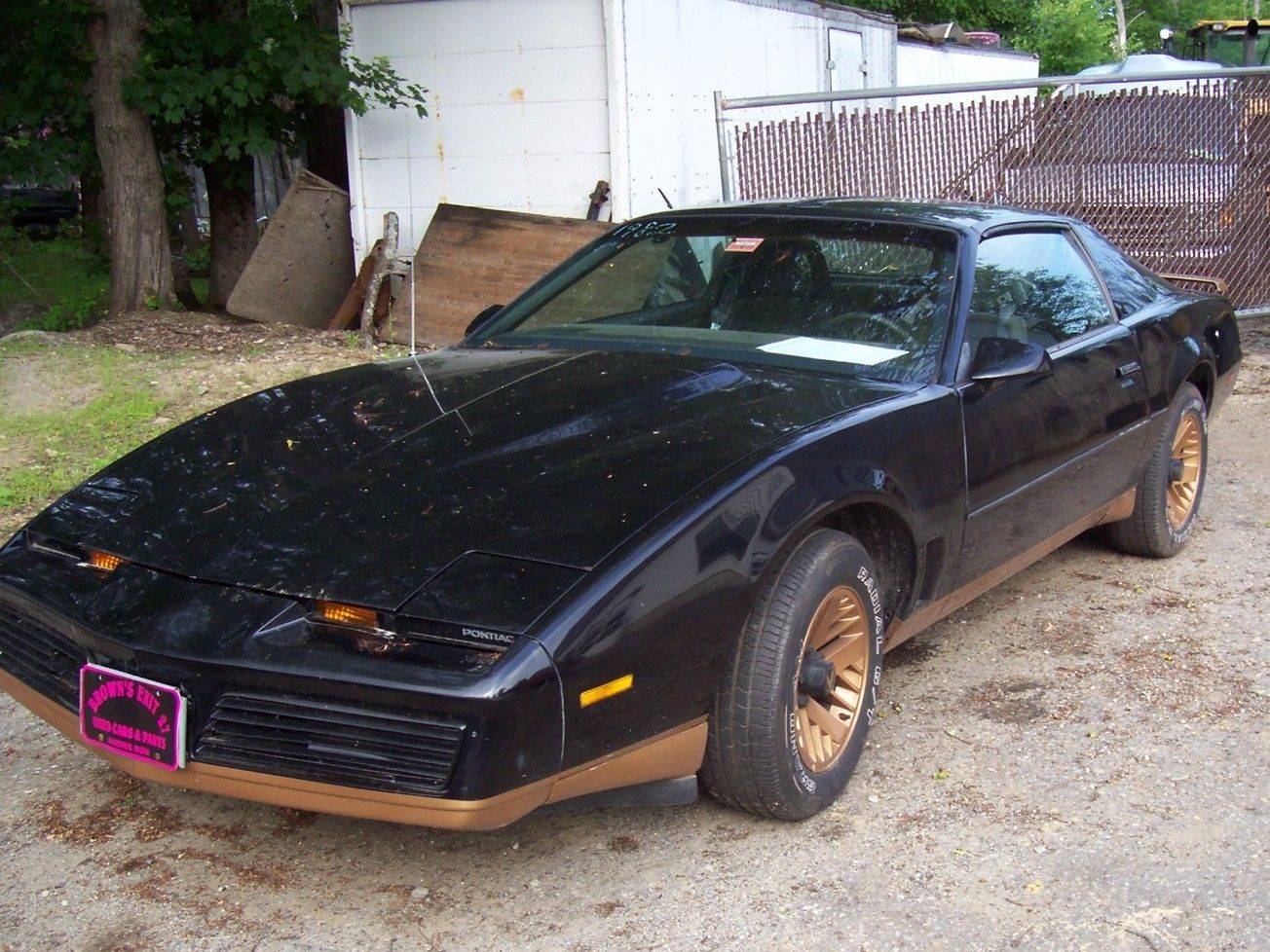 1982 Trans Am Drivers Front View Cropped | Barn Finds