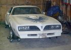Junk Yard Find: 1981 Pontiac Trans Am