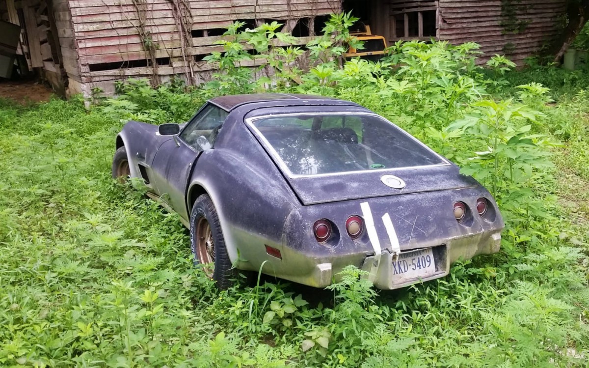 Roadside Sighting: Hatchback C3 Corvette
