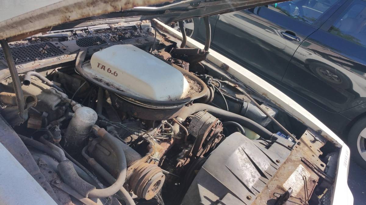 1977 Pontiac Trans Am Engine | Barn Finds