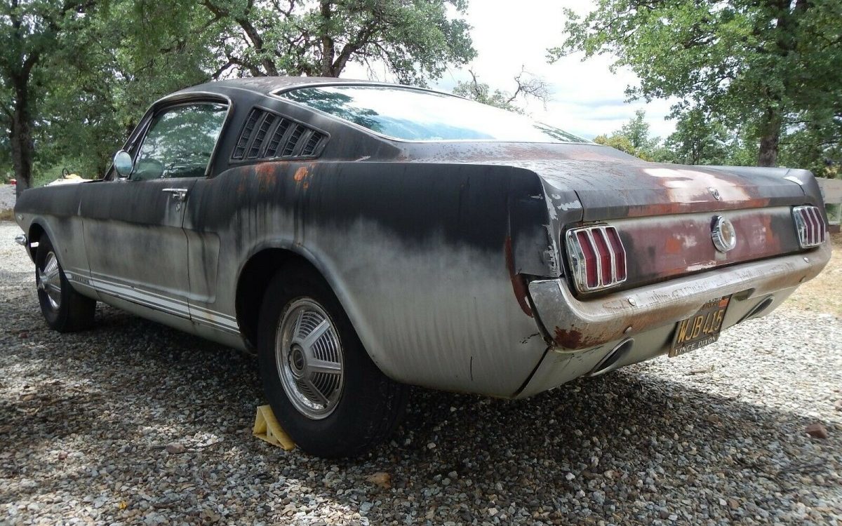 1965 Mustang Drivers Rear | Barn Finds