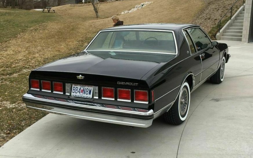 1982 Caprice rear | Barn Finds