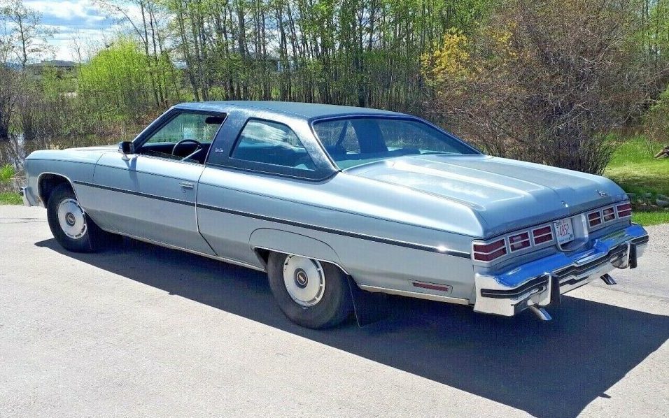 1975 Caprice rear left | Barn Finds