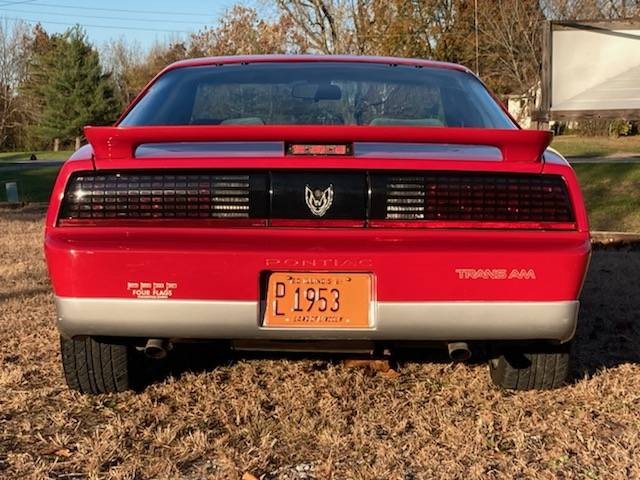 trans am rear | Barn Finds