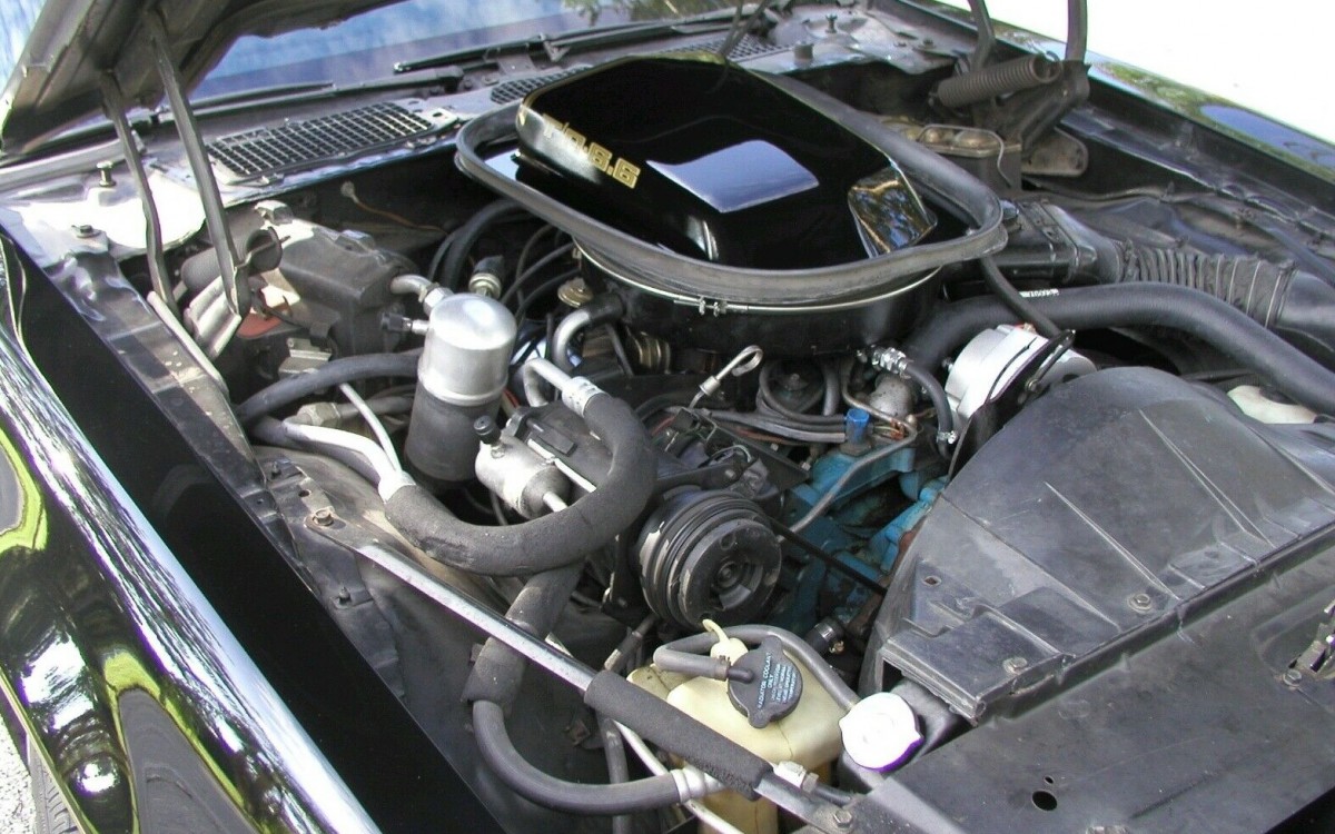 1979 Pontiac Trans Am Engine | Barn Finds