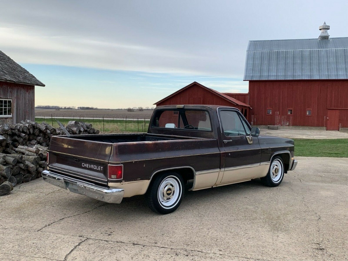 c10 rear | Barn Finds