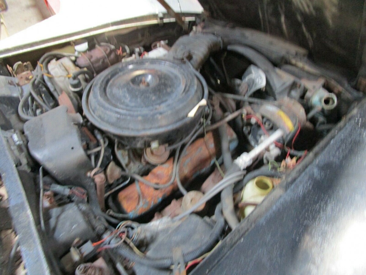 corvette pace car engine | Barn Finds