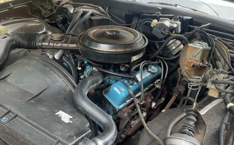 1977 Caprice engine | Barn Finds