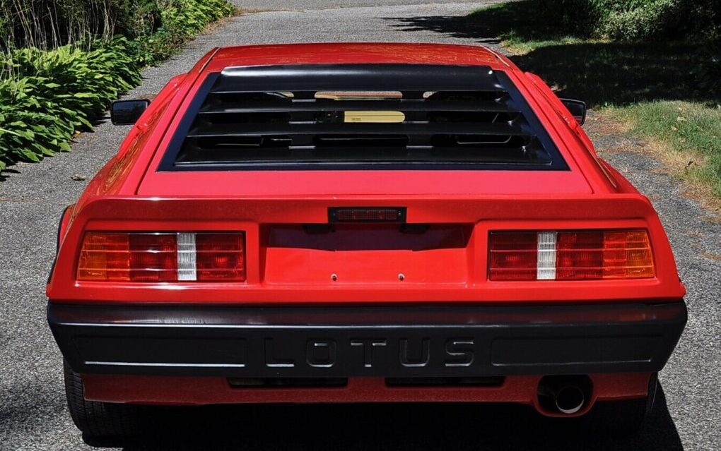 1986 Lotus rear | Barn Finds