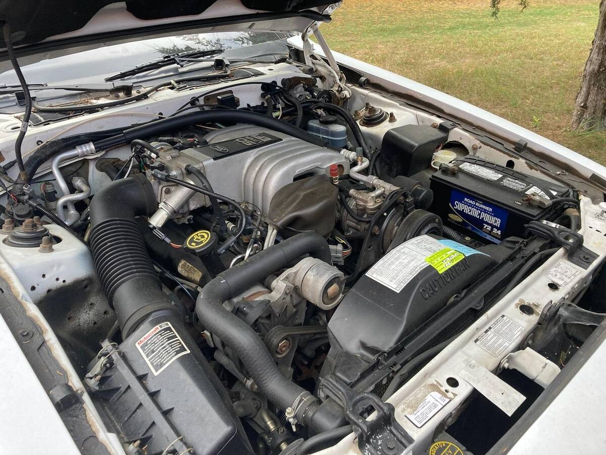 cougar engine | Barn Finds