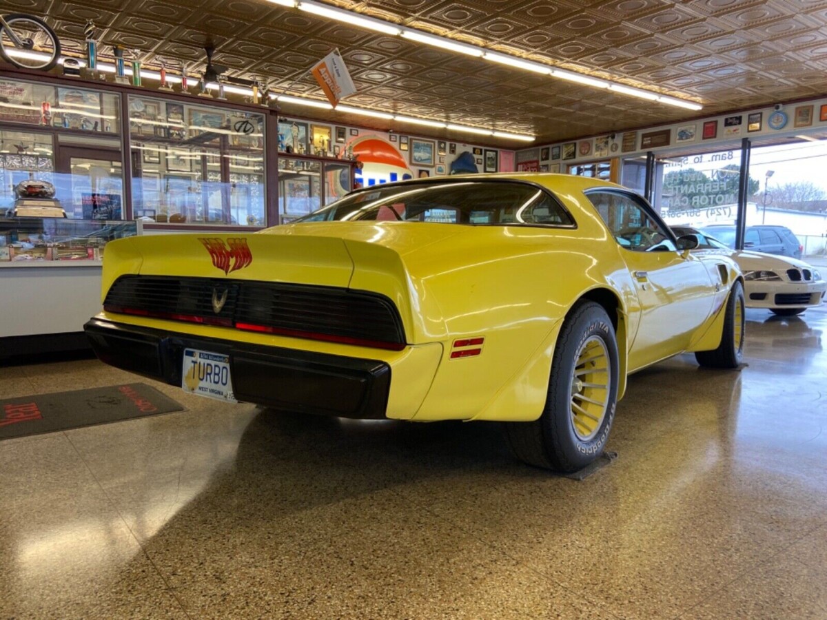 trans am rear | Barn Finds