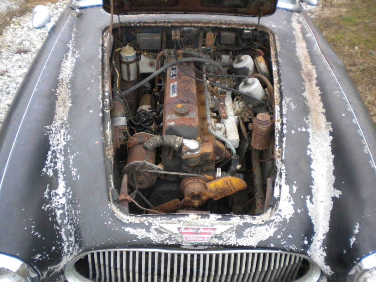 66 healey engine | Barn Finds