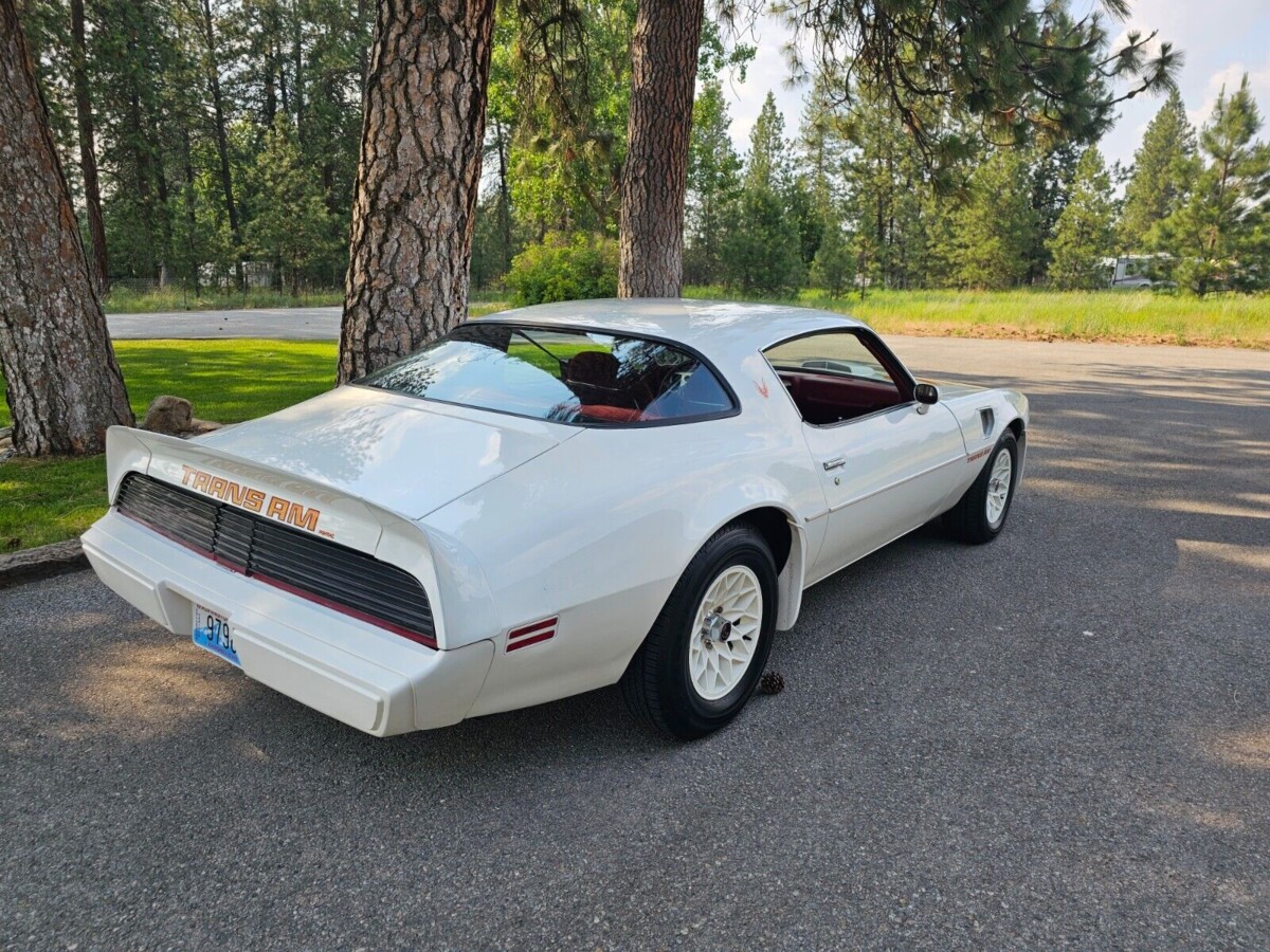 trans am rear | Barn Finds