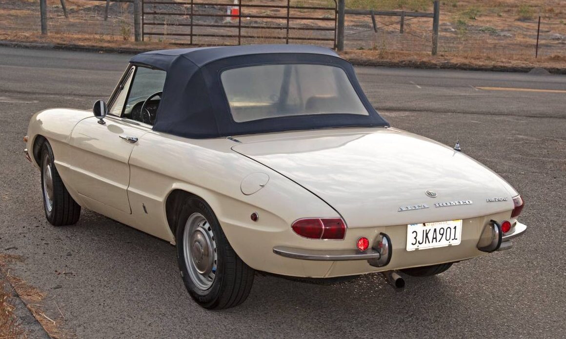 alfa spider rear | Barn Finds